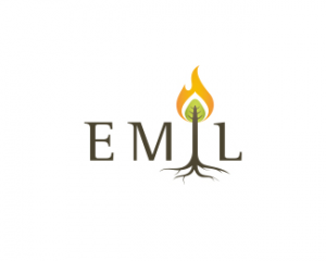 EMIL标志 - LOGO设计案例 - LOGO世界